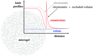 Swelling of ionic microgel particles in the presence of excluded-volume ...