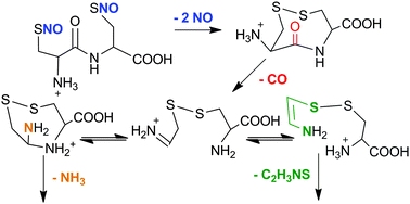 Transnitrosylation products of the dipeptide cysteinyl–cysteine: an ...