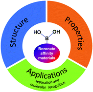 Boronate affinity materials for separation and molecular recognition ...