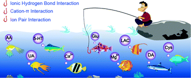 Interionic Variation Of Polaron Radius And Interionic Distance With
