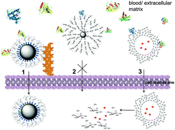 Carbohydrate nanocarriers in biomedical applications: functionalization ...