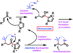 Recent advances in employing homoenolates generated by N-heterocyclic ...