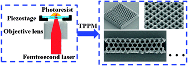 Two-photon polymerization microfabrication of hydrogels: an advanced 3D ...