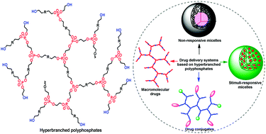Hyperbranched polyphosphates: synthesis, functionalization and ...