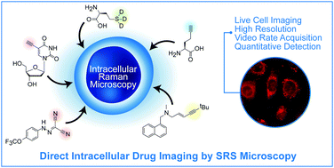 Stimulated Raman scattering microscopy: an emerging tool for drug ...