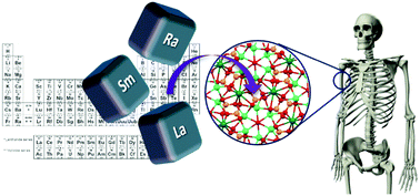 Harnessing the bone-seeking ability of Ca(ii)-like metal ions in the ...