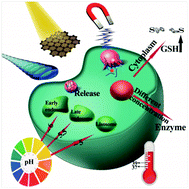 Smart micro/nanoparticles in stimulus-responsive drug/gene delivery ...