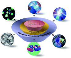 Fmoc-modified amino acids and short peptides: simple bio-inspired building blocks for the ...