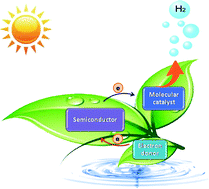 Hydrogen photogeneration from water on the biomimetic hybrid artificial ...