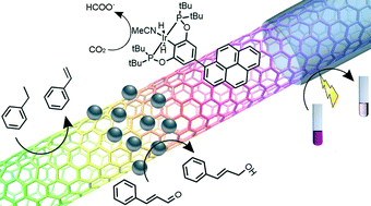 Carbon nanotubes and catalysis: the many facets of a successful ...