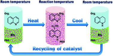 Highly efficient and recyclable rhodium nanoparticle catalysts for ...