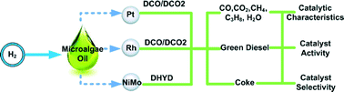 Hydrodeoxygenation of microalgae oil to green diesel over Pt, Rh and ...