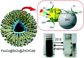 Synthesis of urchin-like Fe3O4@SiO2@ZnO/CdS core–shell microspheres for the repeated ...