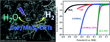 A novel CoP/MoS2-CNTs hybrid catalyst with Pt-like activity for ...