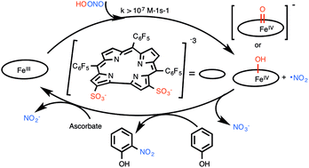 Reaction mechanism for the highly efficient catalytic decomposition of ...