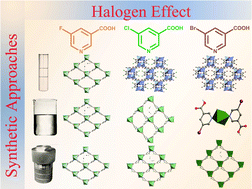 Exceptional sensitivity to the synthetic approach and halogen ...