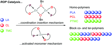 P,O-Phosphinophenolate zinc(ii) species: synthesis, structure and use ...