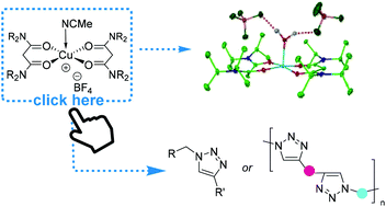 Copper malonamide complexes and their use in azide–alkyne cycloaddition ...