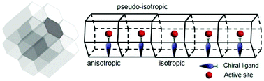 Chiral environment of catalytic sites in the chiral metal–organic ...