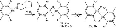 Rhodium(ii) dimers without metal–metal bonds - Dalton Transactions (RSC ...