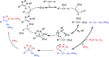Au-iClick mirrors the mechanism of copper catalyzed azide–alkyne ...