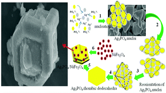 Magnetically separable Ag3PO4/NiFe2O4 composites with enhanced ...