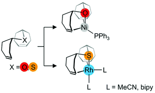 Diolefins with an ether/thioether functionality as ligands in the ...