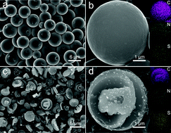 High oxygen-reduction activity and durability of nitrogen and sulfur dual doped porous carbon ...