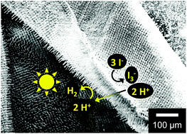 Unassisted solar-driven photoelectrosynthetic HI splitting using ...