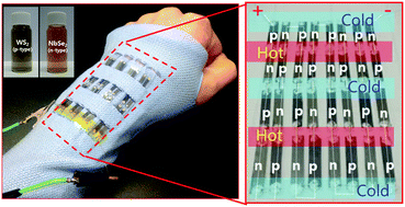 Chemically exfoliated transition metal dichalcogenide nanosheet-based ...