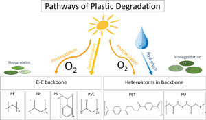 Pathways for degradation of plastic polymers floating in the marine ...