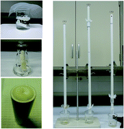 Polyurethane foam (PUF) passive samplers for monitoring phenanthrene in ...