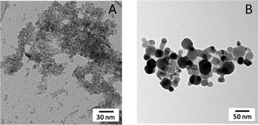Size-dependent cytotoxicity of copper oxide nanoparticles in lung ...