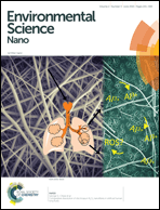Front cover - Environmental Science: Nano (RSC Publishing)