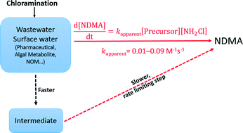 N-Nitrosamine formation kinetics in wastewater effluents and surface ...
