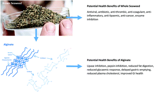 The role of seaweed bioactives in the control of digestion ...
