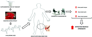 A low-fat yoghurt supplemented with a rooster comb extract on muscle ...