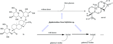 Enzymatic transformation of stevioside using a β-galactosidase from ...