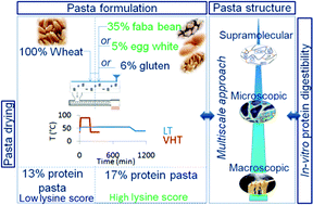Protein enriched pasta: structure and digestibility of its protein ...