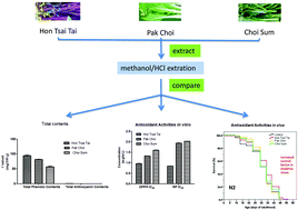 Extracts of Tsai Tai (Brassica chinensis): enhanced antioxidant ...