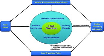 Food structure is critical for optimal health - Food & Function (RSC ...