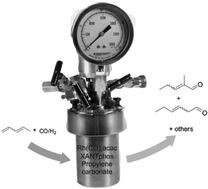 Hydroformylation of piperylene and efficient catalyst recycling in ...