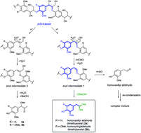 In situ trapping of enol intermediates with alcohol during acid ...