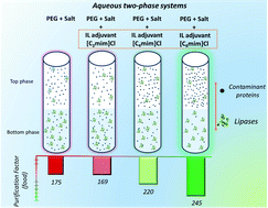 Lipase purification using ionic liquids as adjuvants in aqueous two ...