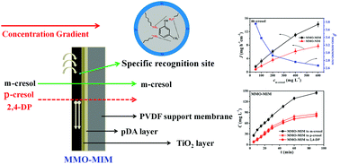 Accelerating the design of multi-component nanocomposite imprinted ...
