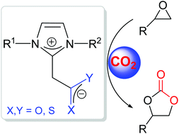 CO2, COS and CS2 adducts of N-heterocyclic olefins and their ...