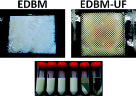 Hybrid bipolar membrane electrodialysis/ultrafiltration technology ...