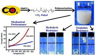 Waterborne polyurethanes from CO2 based polyols with comprehensive ...