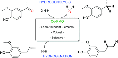 Highly selective hydrogenation and hydrogenolysis using a copper-doped ...