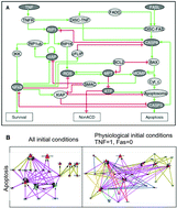 Predicting genetic interactions from Boolean models of biological ...